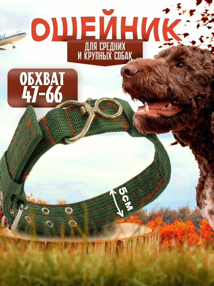 Ошейник
