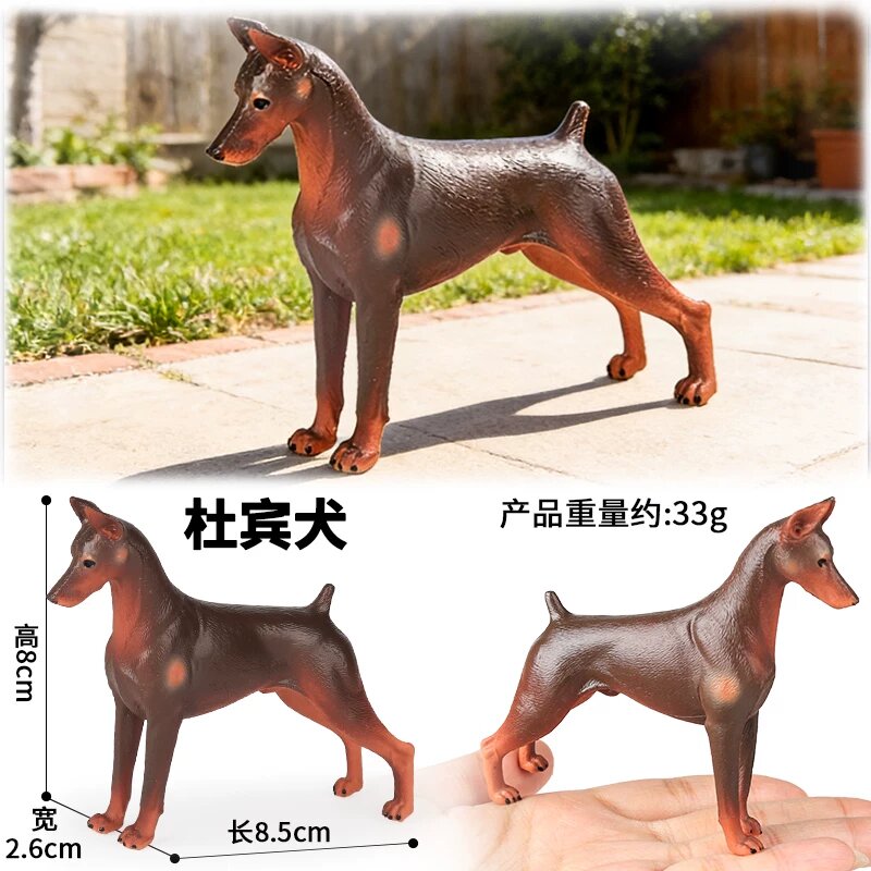 2728 Doberman Pinscher Plastikovaya Model' Sobaki Realistichnyy Zhivotnoy Figurinnyy Dekor Dlya Doma i Sobiratelyey