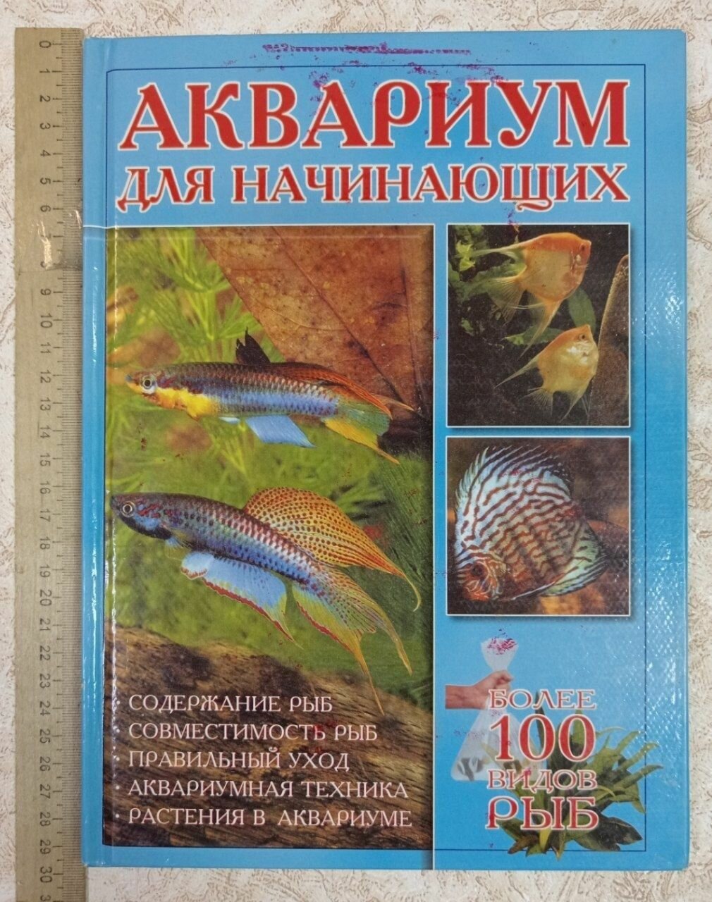 Аквариум для начинающих