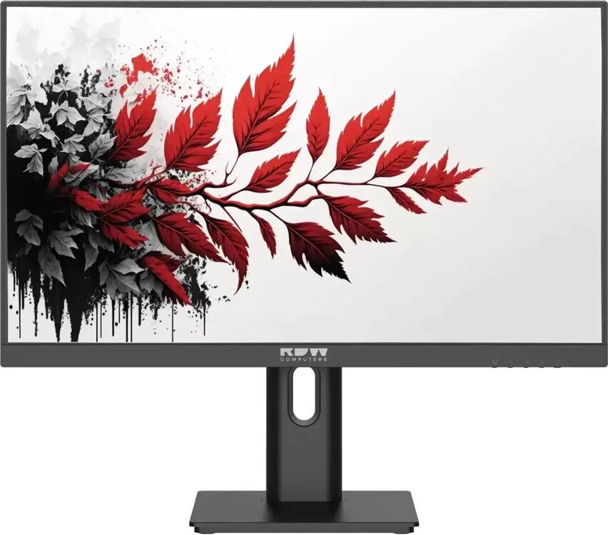 Монитор 27" RDW RDW2701K (Q00B0) IPS 2K DP, HDMI (реестр МПТ)