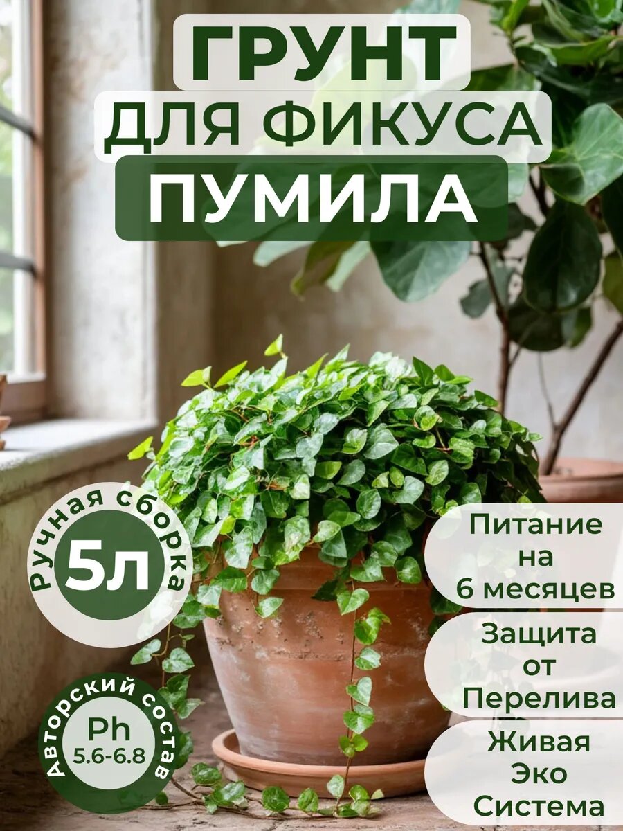 Готовый авторский грунт для фикуса Пумила премиум 5 литров