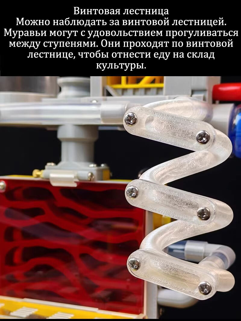 Муравьиная ферма — фото 1