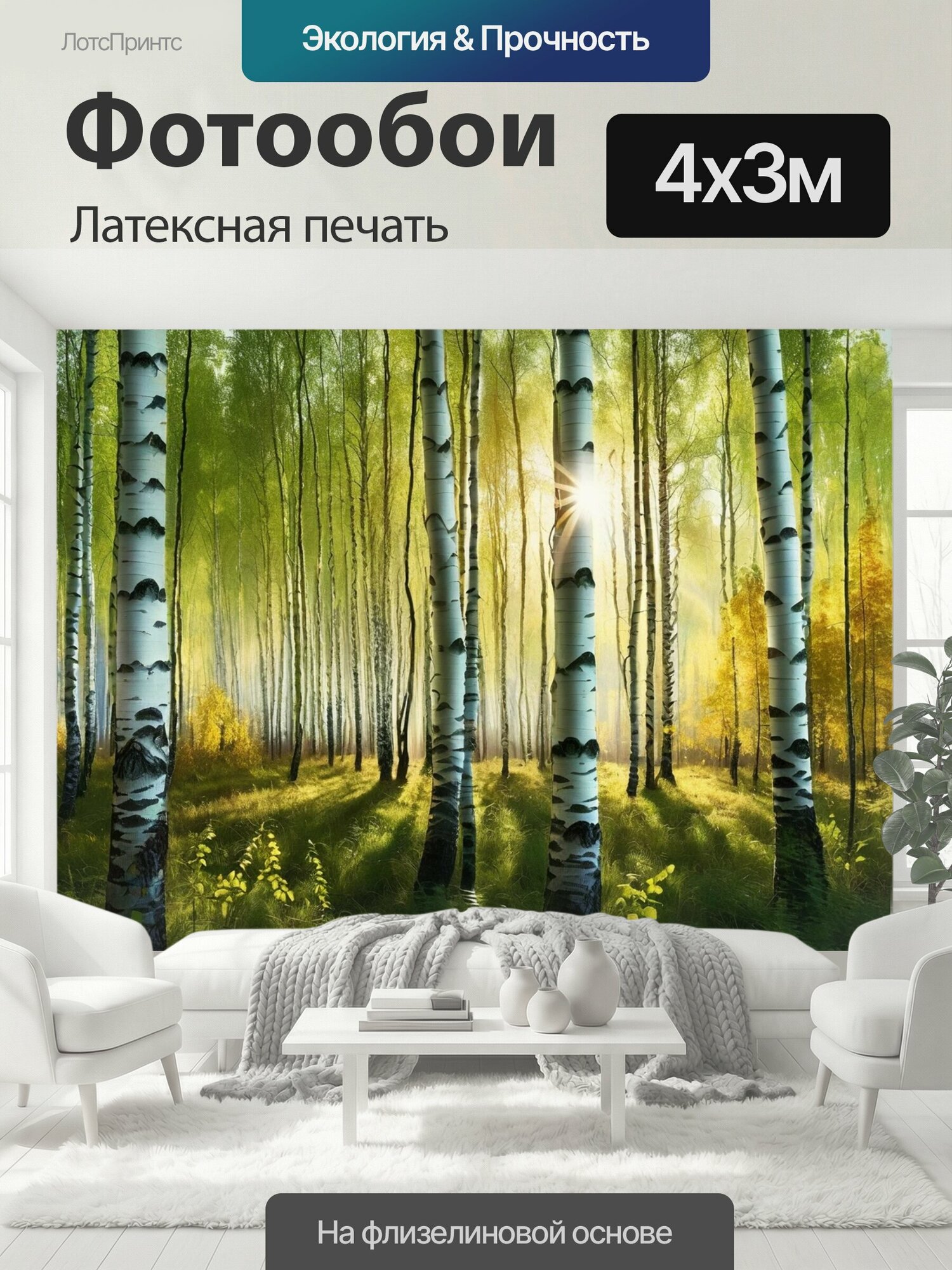 Фотообои моющиеся ударопрочные "Береза, солнце, чаща лес природа" 400x300 см. латексная печать