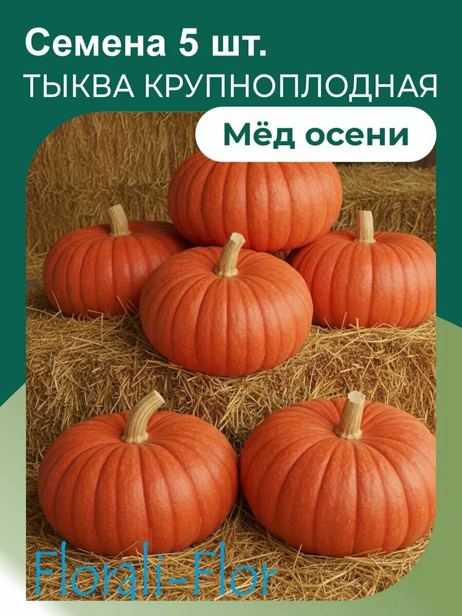 Тыква Крупноплодная Семена