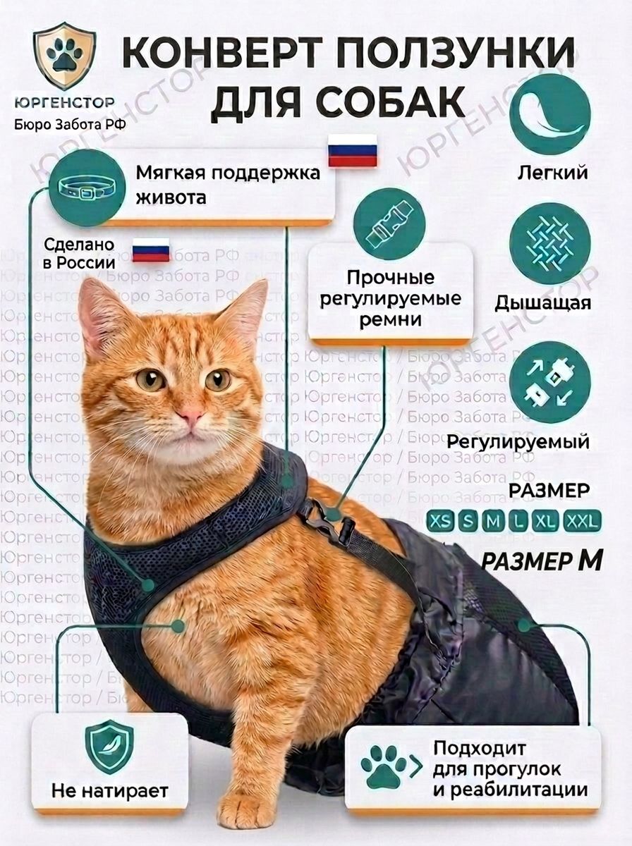 Ползунки для кошек инвалидов M
