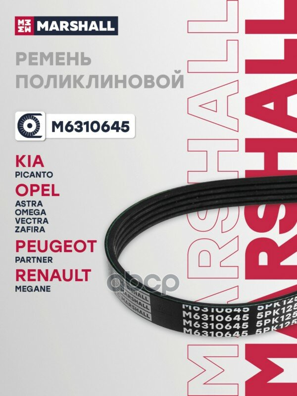 Ремень поликлиновой MARSHALL арт. M6310645
