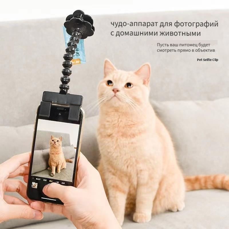 Артефакт для фотосъемки домашних животных, кошки и собаки смотрят в камеру, стержень для захвата, черный