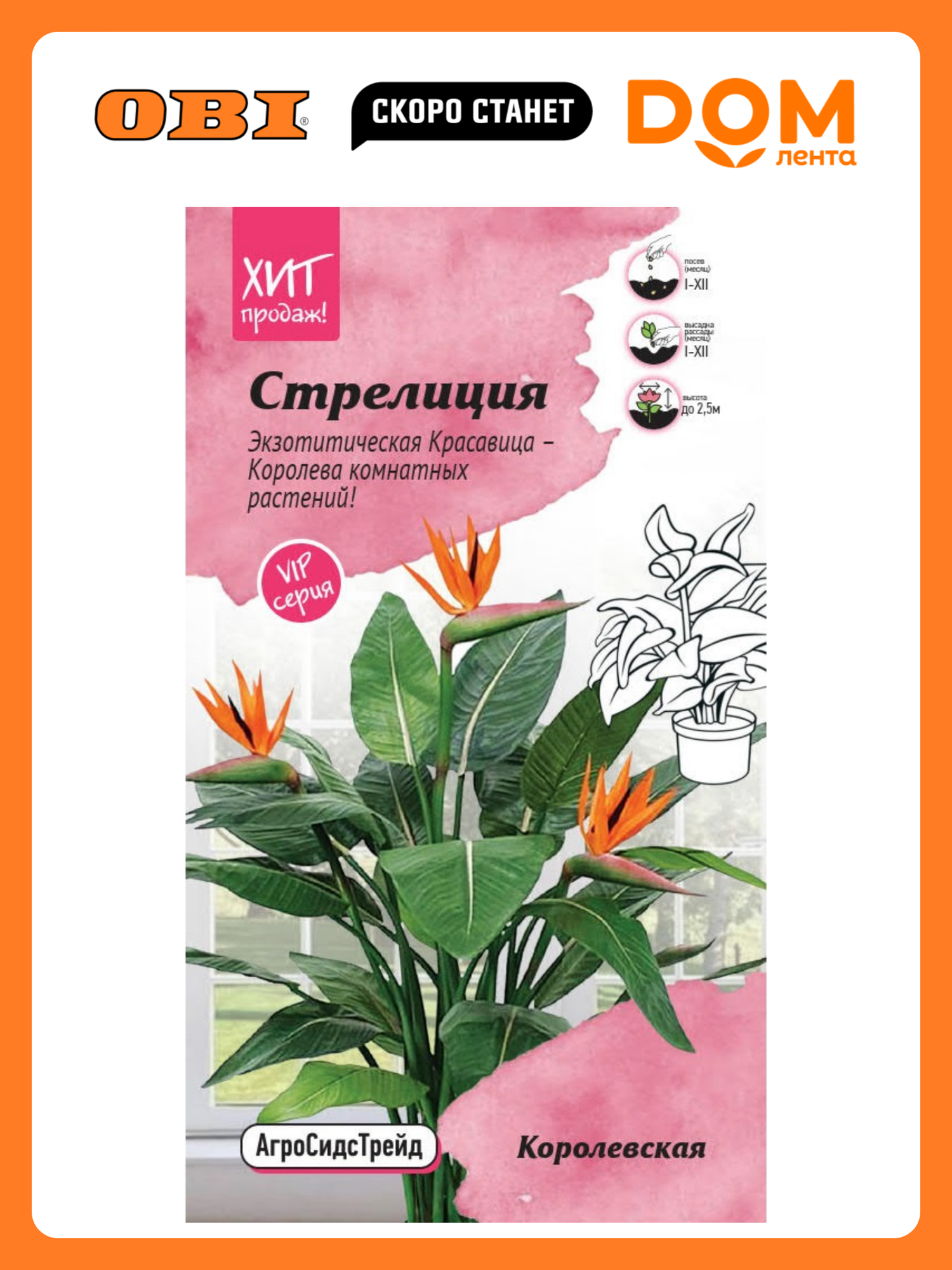 Семена Стрелиция Королевская 3шт АСТ