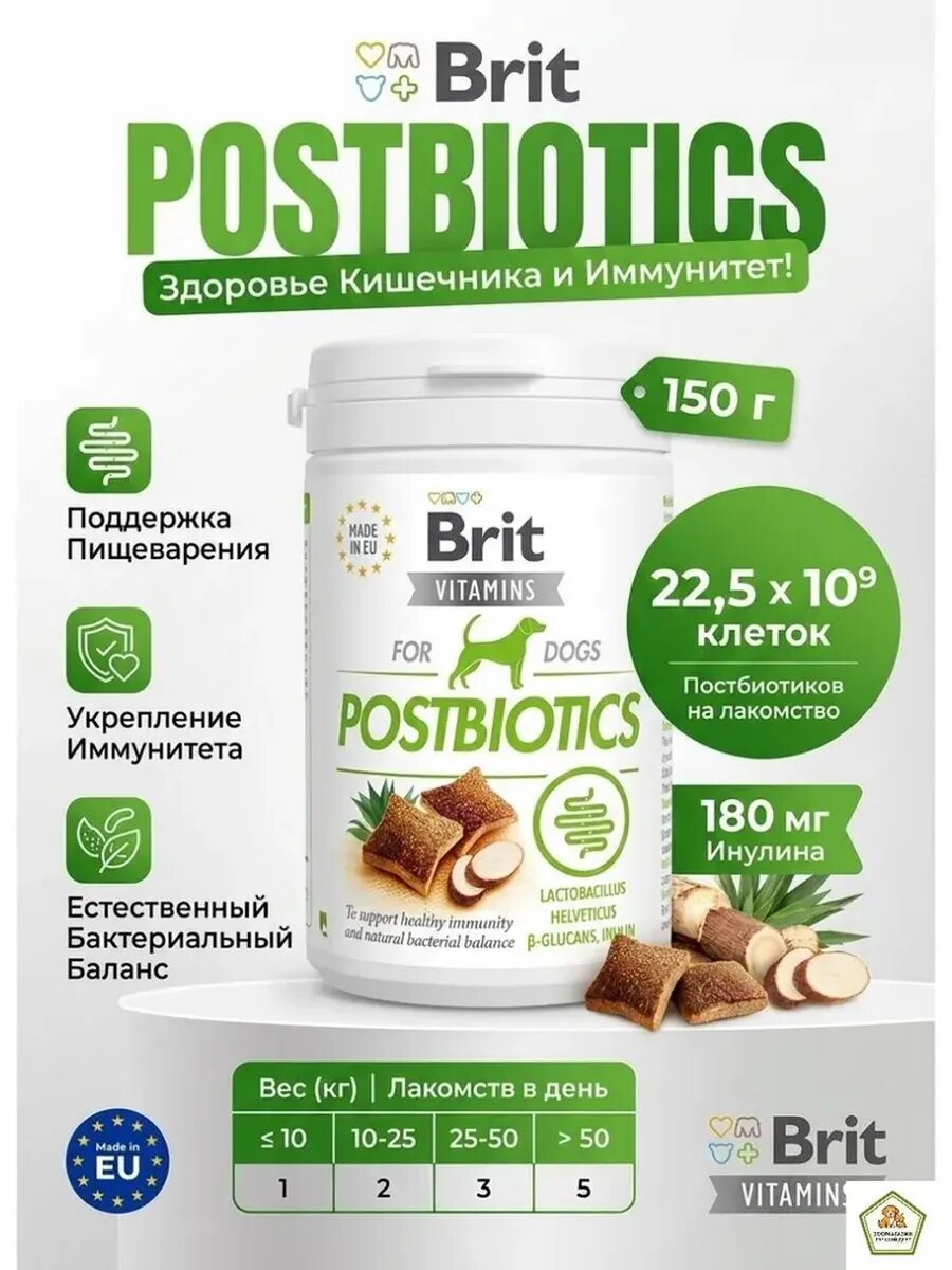 Витамины для Собак: Здоровый Кишечник, Крепкий Иммунитет!