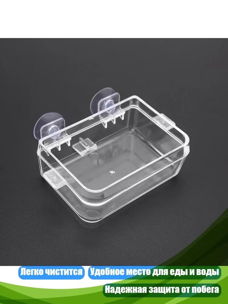 Кормушка для рептилий с защитой от побега, миска для черепах, змей и игуан, Прозрачный