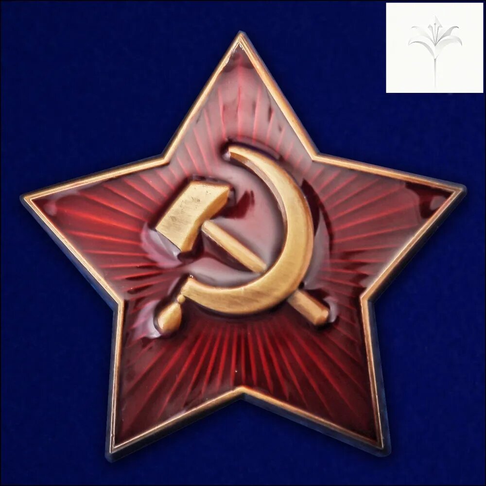 Эксклюзивная награда, медаль