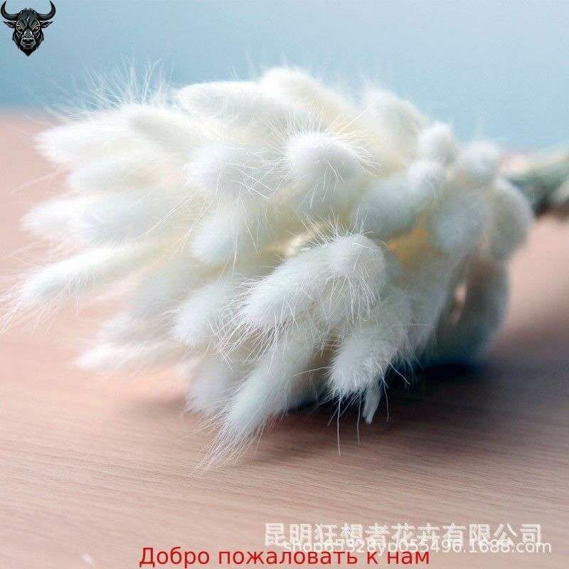 Сухоцветы Сетария, 60 см, 150 гр, 60 шт