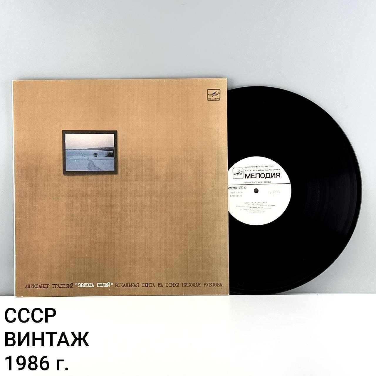 Винтажная виниловая пластинка "Александр Градский. Звезда Полей". Мелодия. СССР, 1986 г.