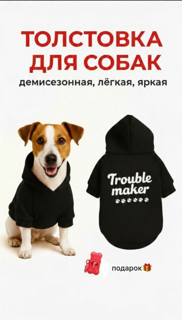 Черная толстовка для собак мелких и средних пород