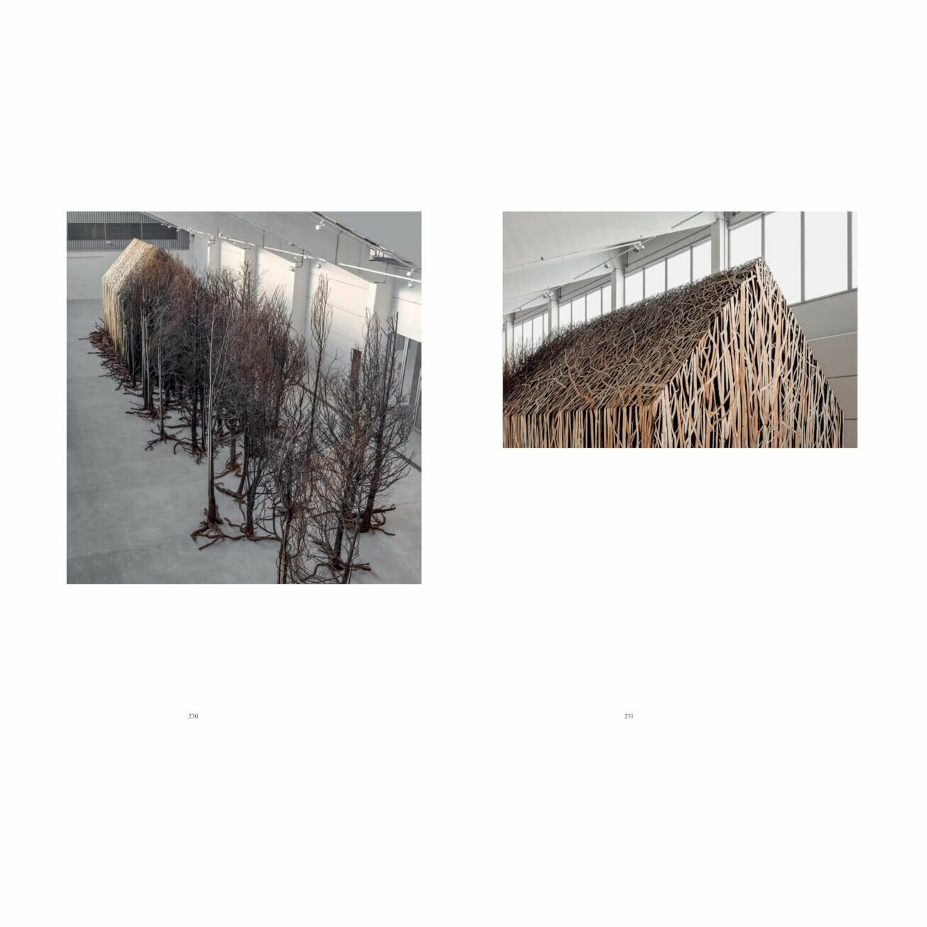 Doris Salcedo — фото 1