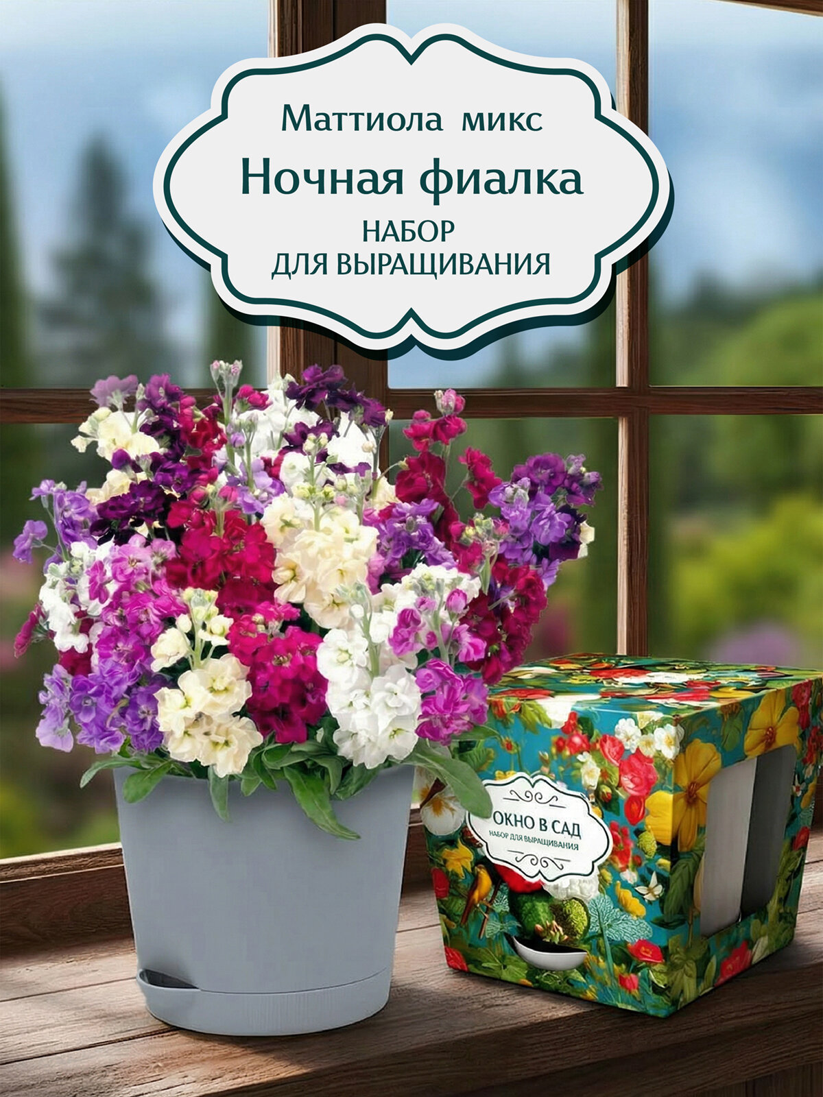Набор для выращивания Ночная фиалка микс (маттиола) "Окно в сад", для детей и взрослых