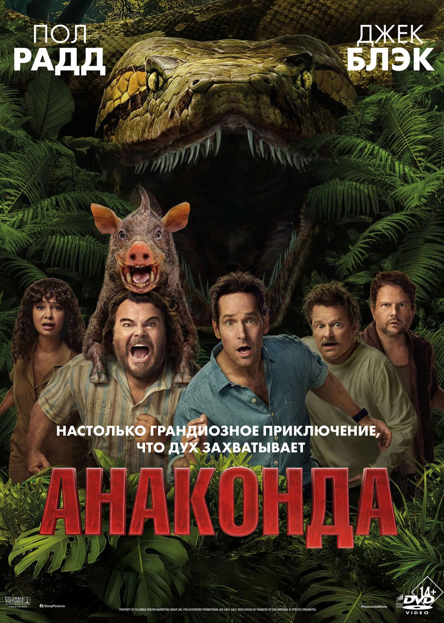 Анаконда (США, 2025) DVD перевод профессиональный (дублированный) В сборе