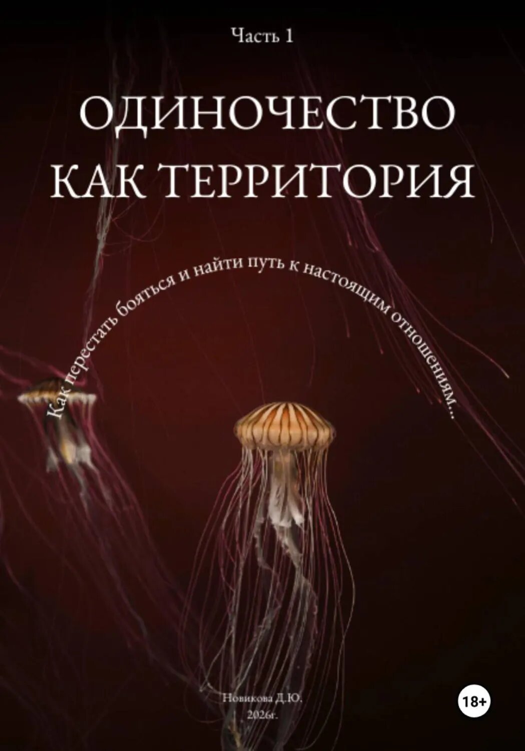 Одиночество как территория. Часть 1 [Цифровая книга]