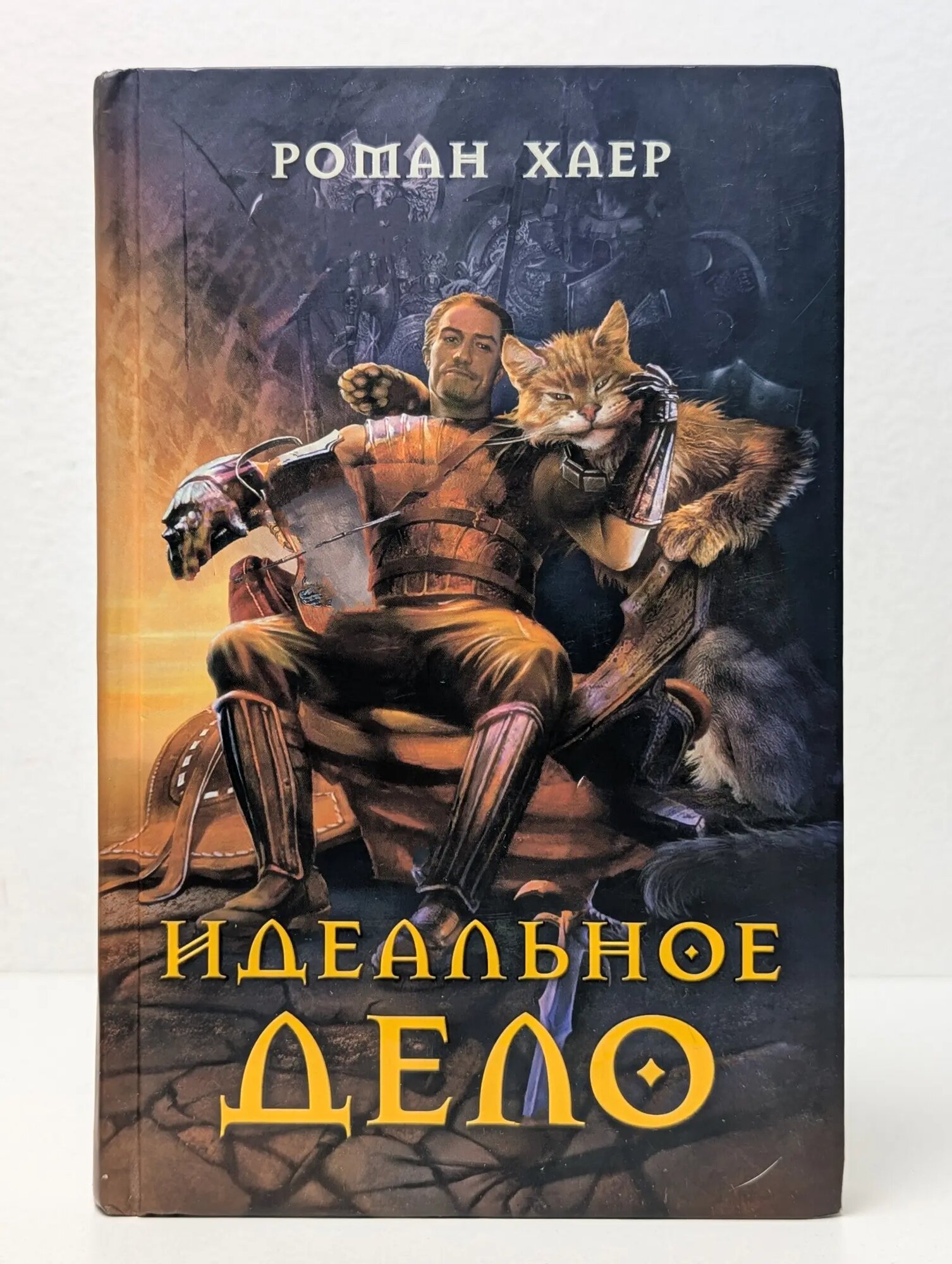 Идеальное дело Хаер Роман 2010