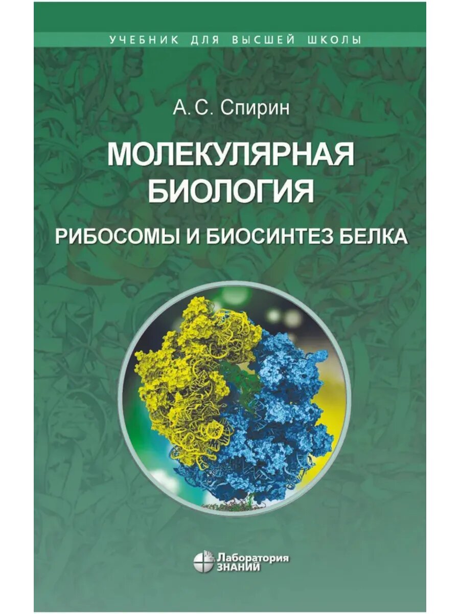 Молекулярная биология. Рибосомы и биосинтез белка