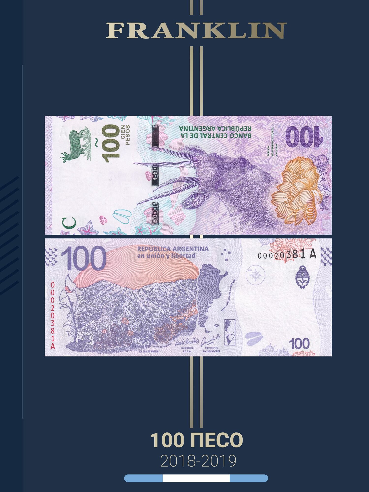 Банкнота Аргентина 100 песо 2018-2019 год (UNC) Pick 363А