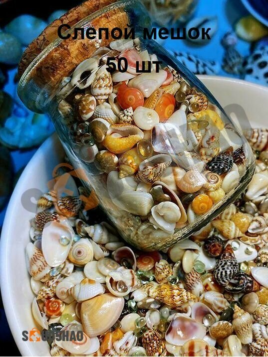 50 шт/Набор сюрпризов в ракушке для детей / Творческий подарок для школьников набор сюрпризов ракушка подарок для детей творческий подарок подарок для школьников