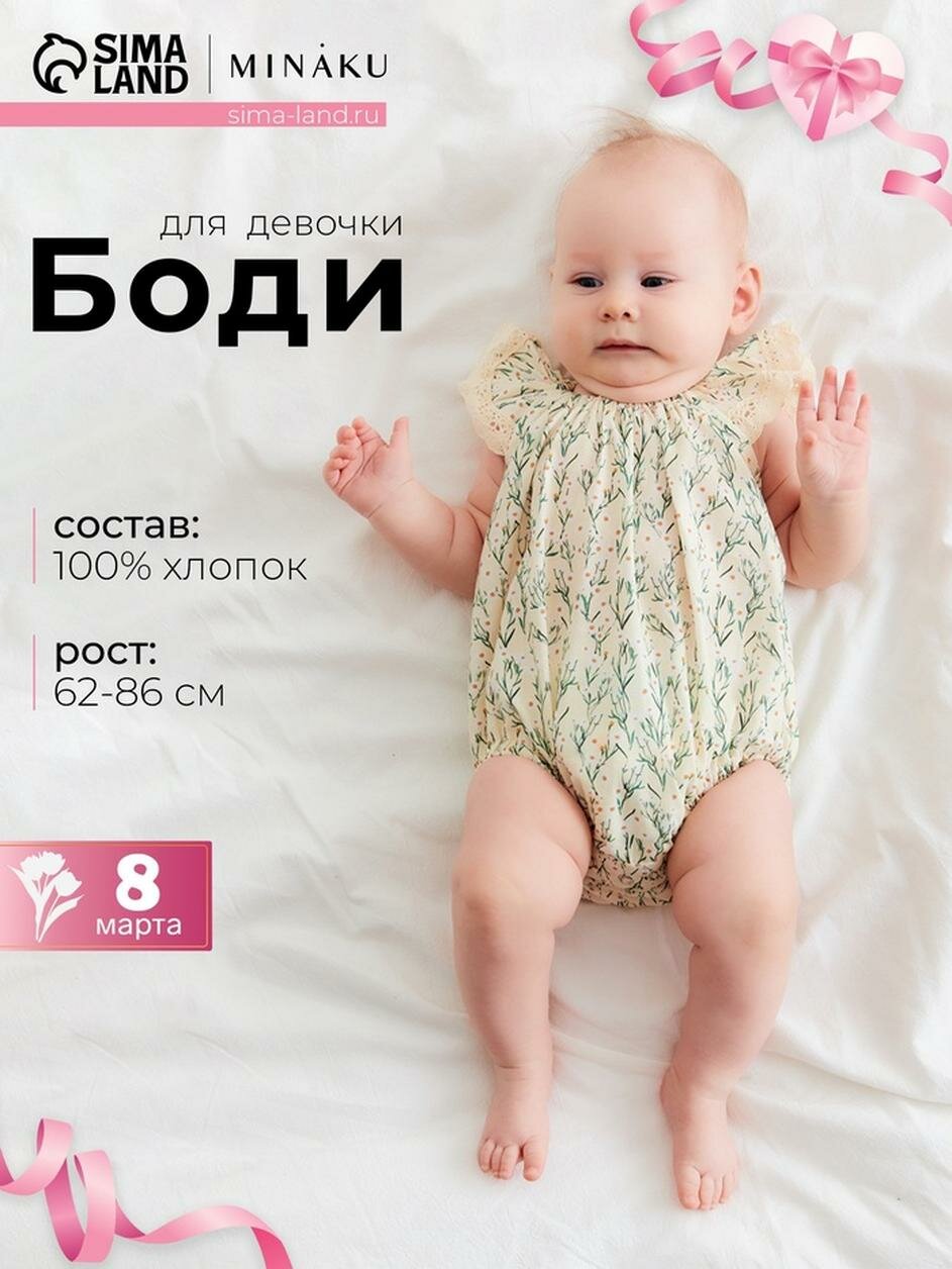Боди