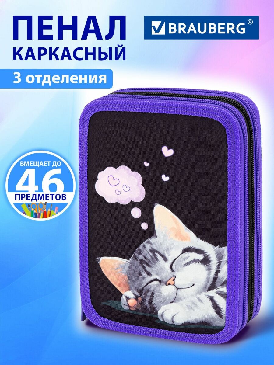 Пенал школьный для девочек для карандашей и ручек с 2 отделениями, канцелярия для школы, полиэстер, 21х14 см, Sleeping kitten