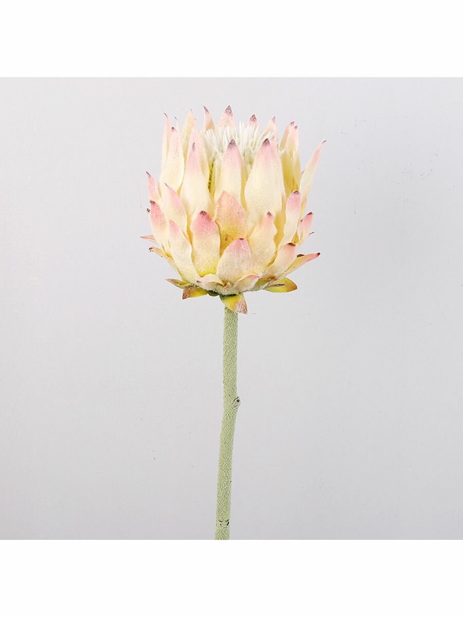 Стабилизированные цветы