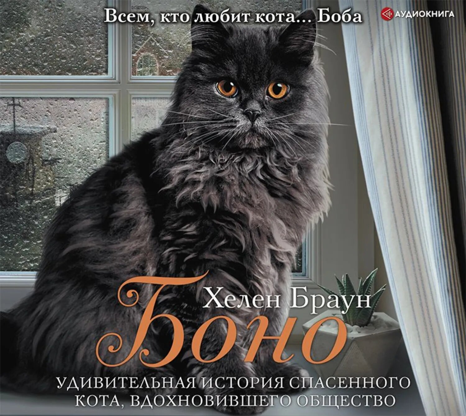 Боно. Удивительная история спасенного кота, вдохновившего общество [Аудиокнига]