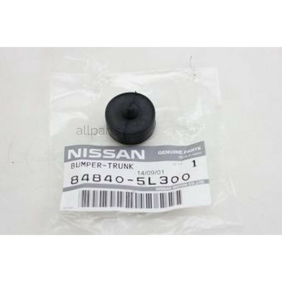 NISSAN 848405L300 заглушка пластиковая