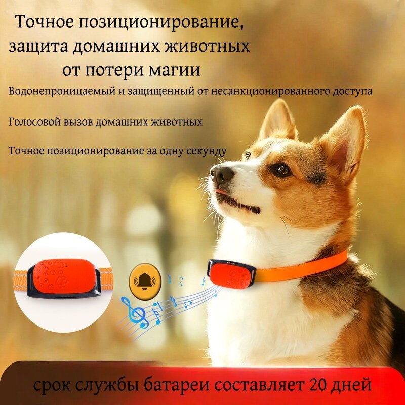 4G GPS-Трекер для собак и кошек | Голосовое оповещение, контроль геозон, ГЛОНАСС + WiFi