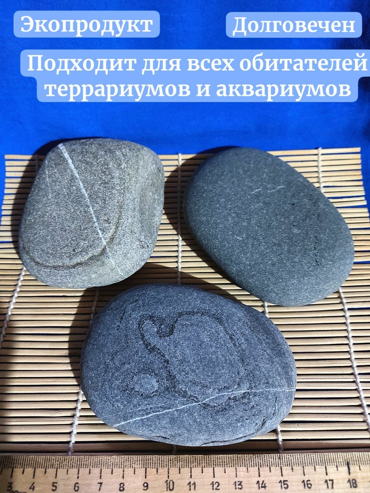 Камень для черепах с побережья Чёрного моря, 3 гладких камня, для террариума, Сундук Изобилия — фото 1