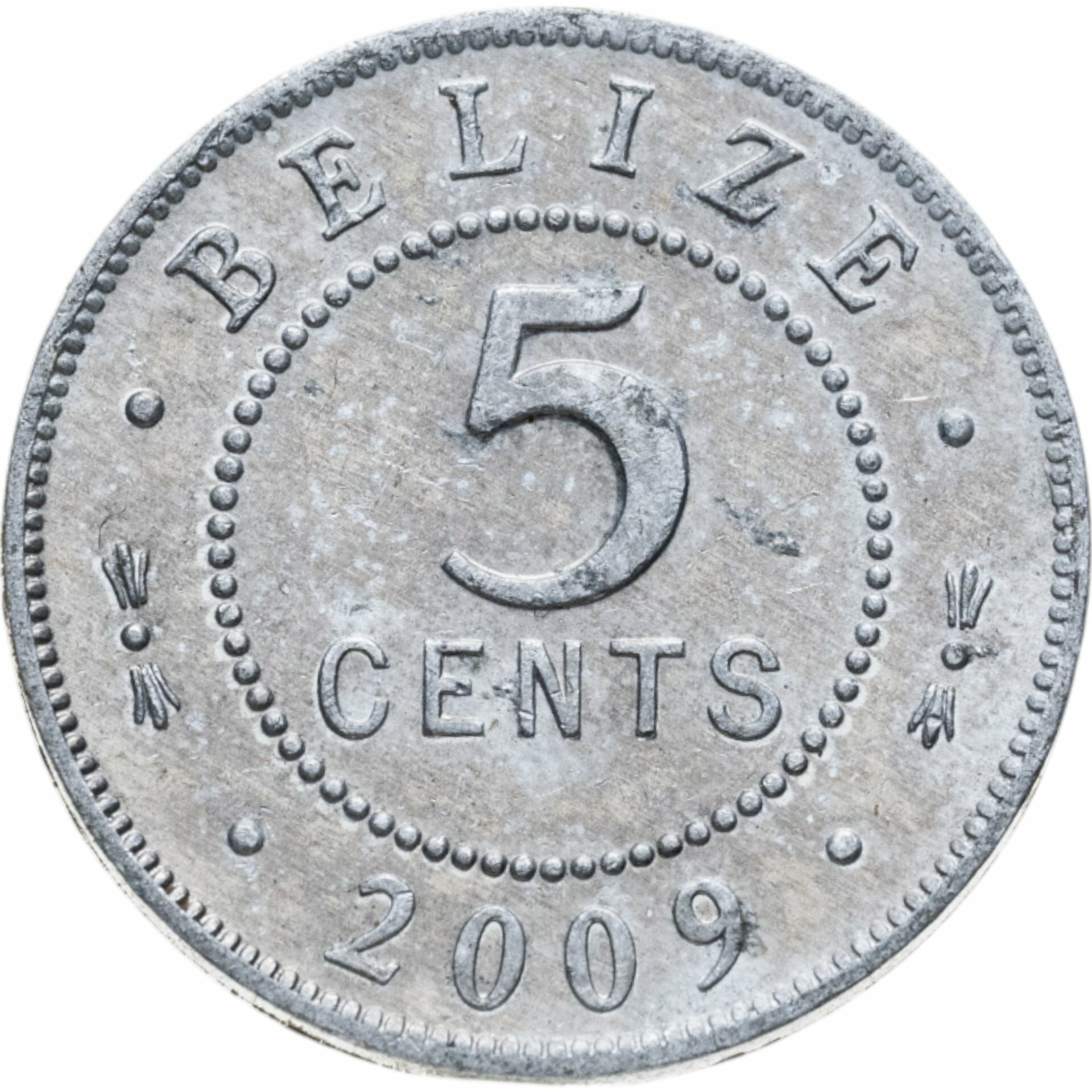 Белиз 5 центов cents 2009, Алюминий, в сохранности XF