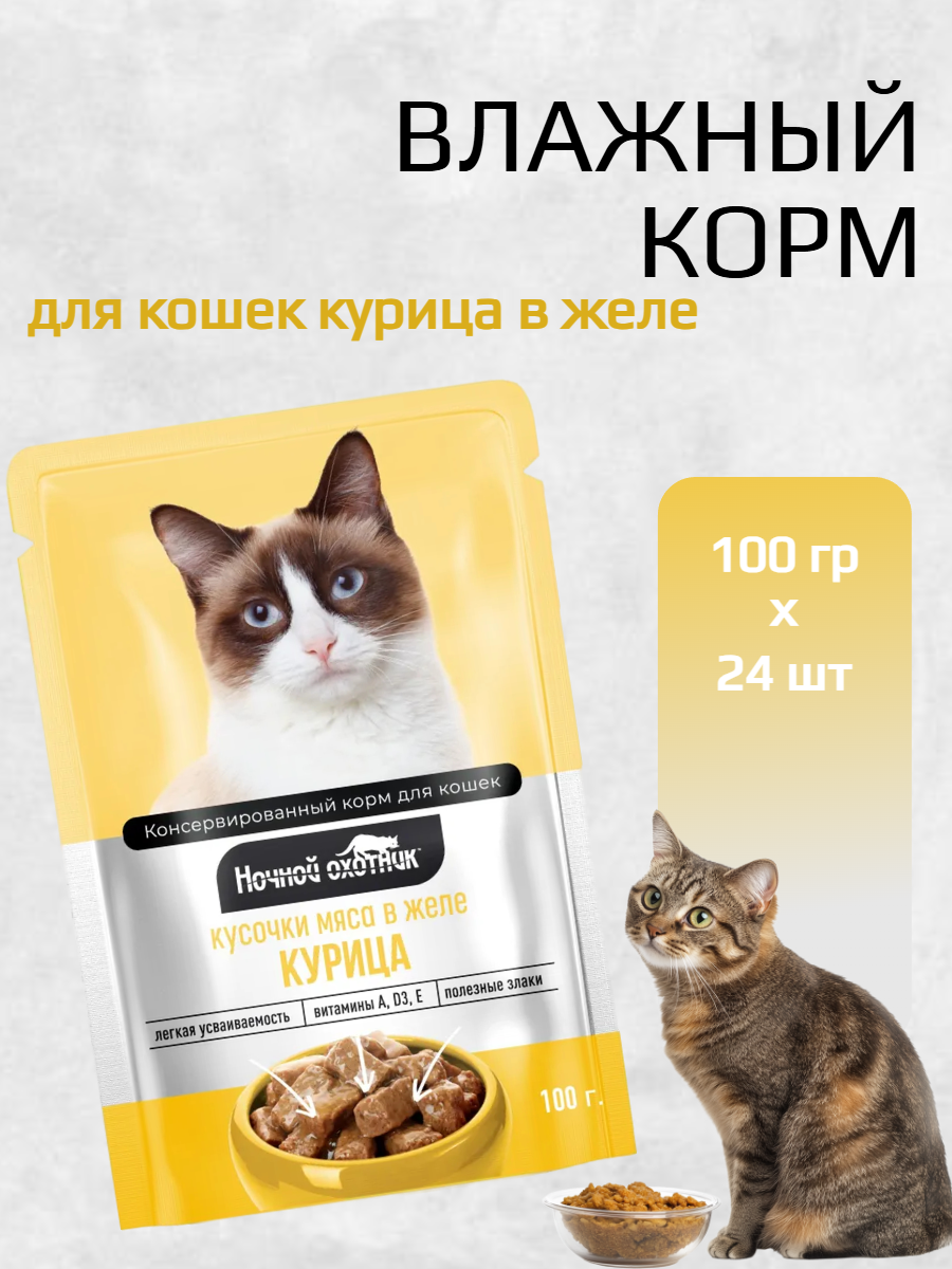 Ночной охотник для кошек с курицей в желе 100 гр х 24 шт