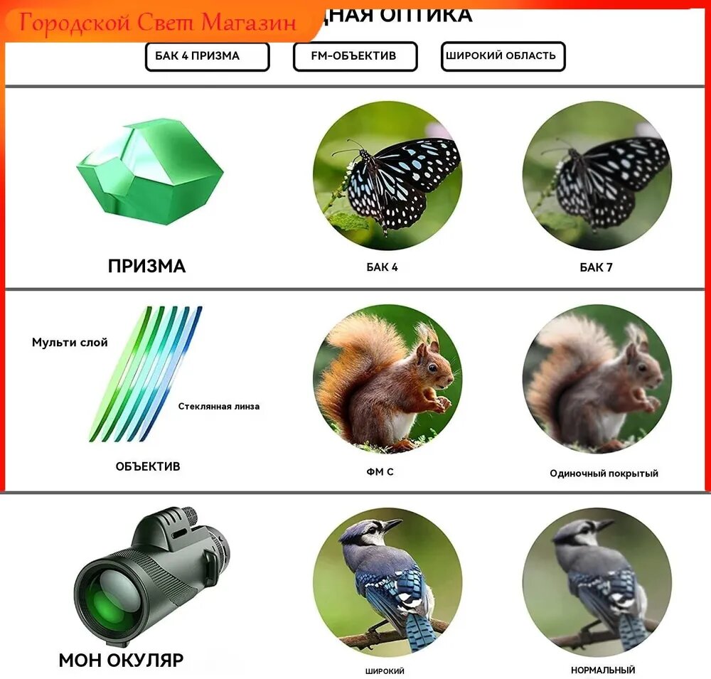 Телескоп, 40x42 мм, Зеленый цвет, для наблюдения за птицами, с штативом и адаптером для телефона — фото 1