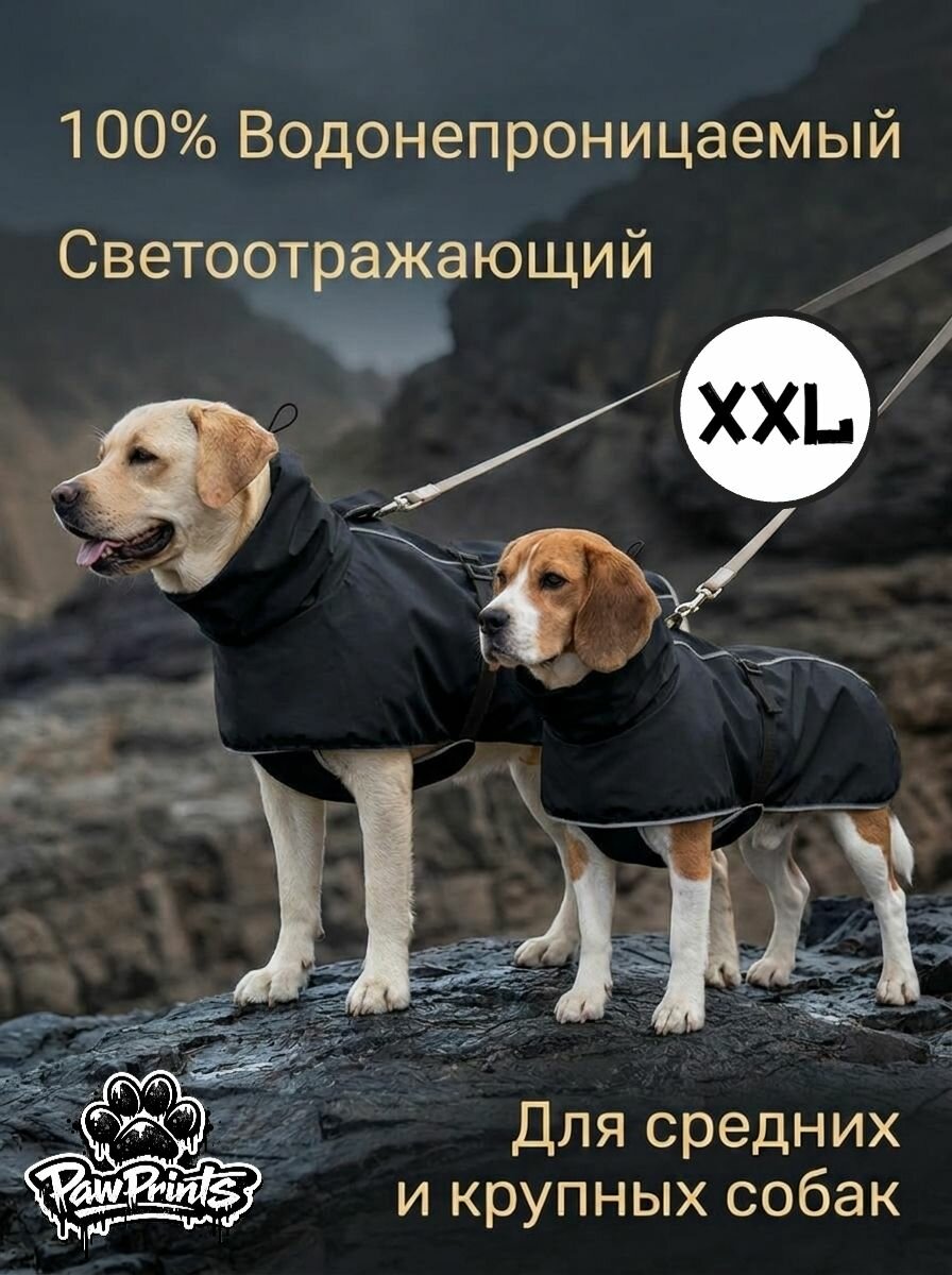 Водонепроницаемый дождевик для средних и крупных собак черный, XXL