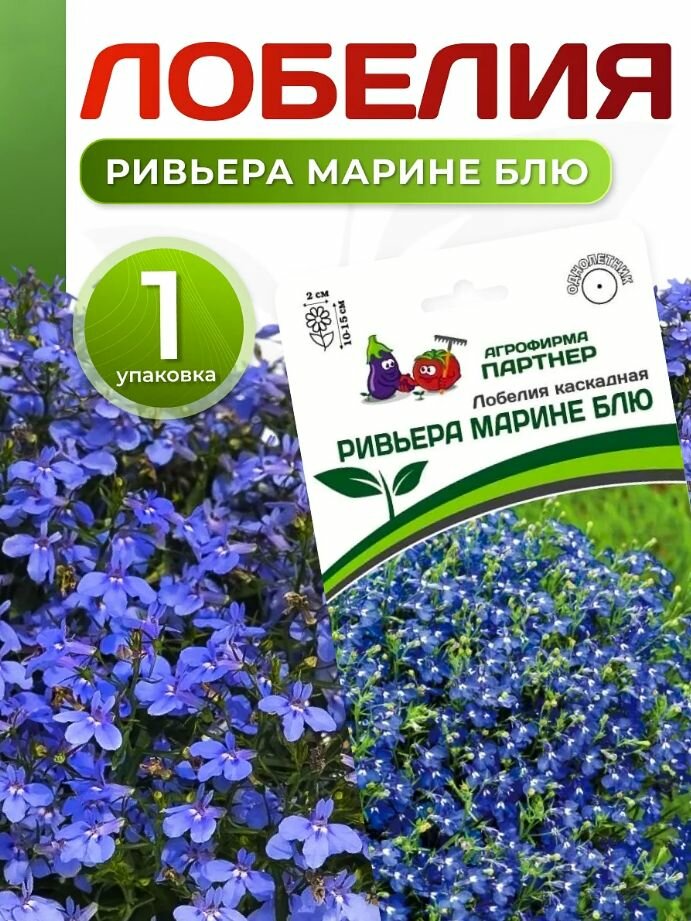Семена лобелии Ривьера Марине Блю каскадная