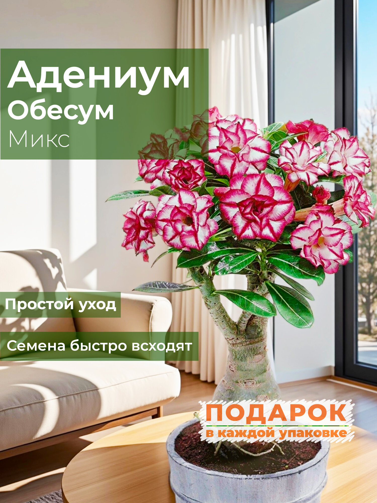 Адениум Обесум Микс, Семена, 5 шт, семена комнатных растений, семена цветов