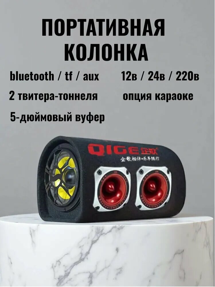 Портативная колонка 5 дюймов с Bluetooth USB AUX поддержкой трех напряжений для улицы авто и вечеринок с функцией караоке