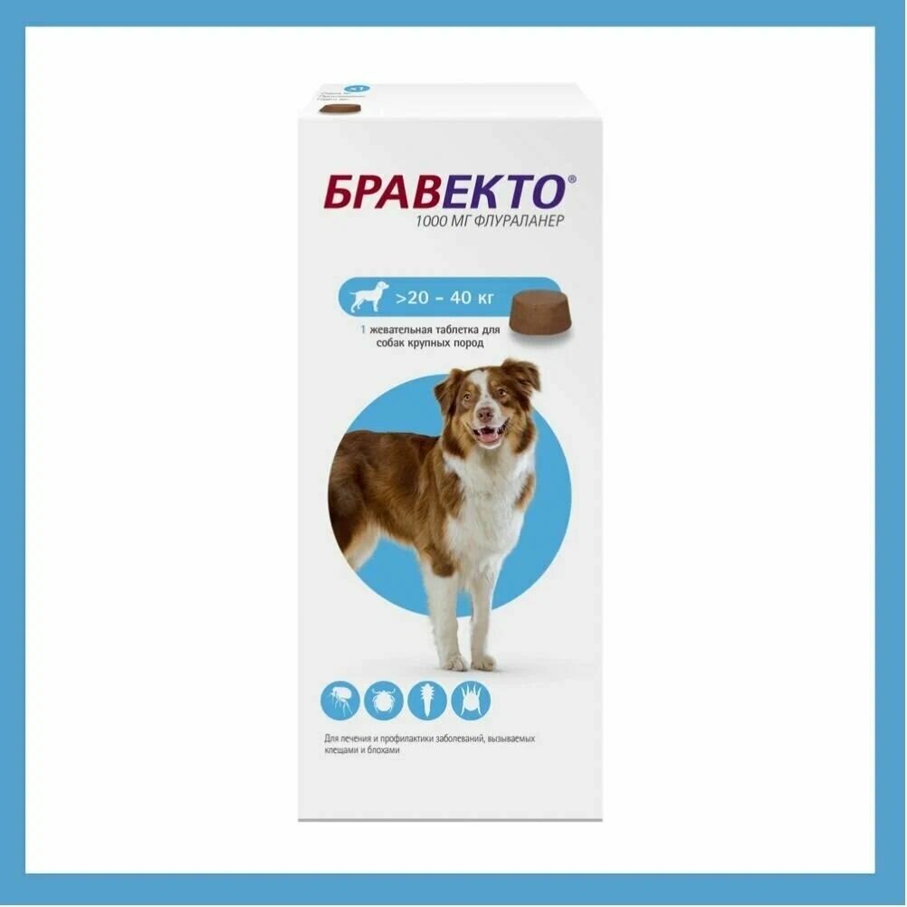 Бравекто MSD Animal Health 1000мг, для собак 20-40кг, защита от блох и клещей