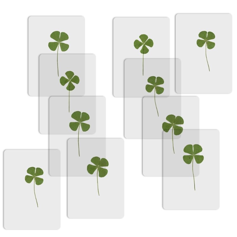 10шт Натуральный Сушеный Лист Закладки Разделитель Страниц Декоративный Держатель Страницы Книги Благодарственный Подарок для Учителя Любителя Книг