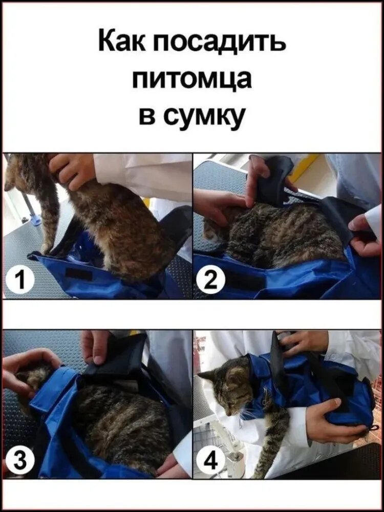 Сумка-фиксатор для животных, переноска для кошек и собак, для стрижки когтей, уколов, прием лекарств — фото 1