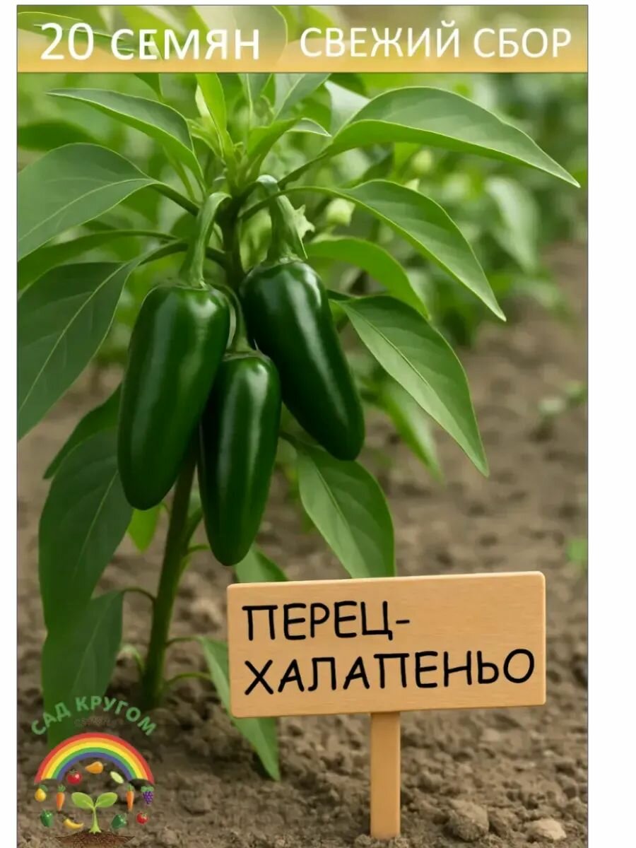 Перец Халапеньо - Семена 20 шт