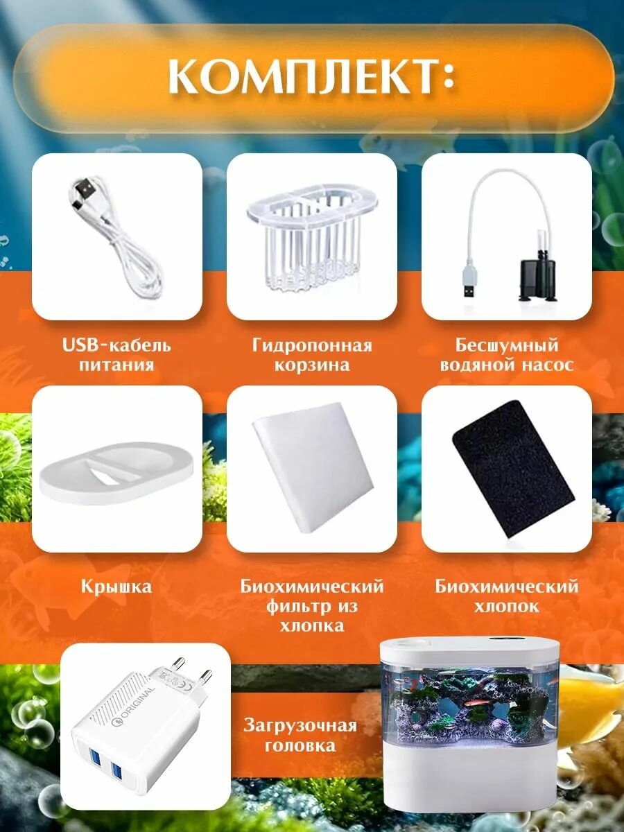 Мини-аквариум — фото 1