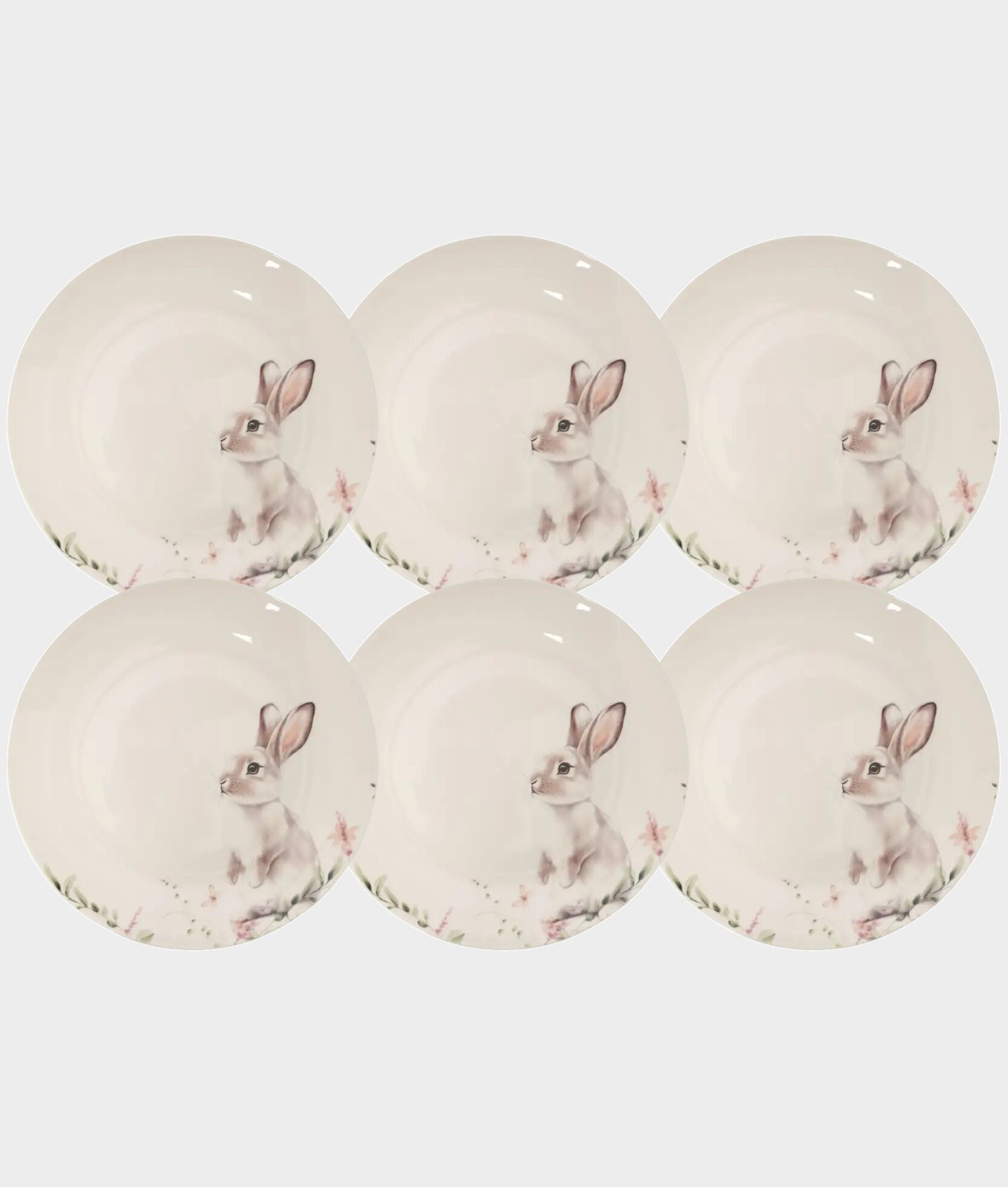Набор 6 тарелок закусочных, 20 см, костяной фарфор, белая, Кролик в цветах, Bunny (Anna Lafarg)
