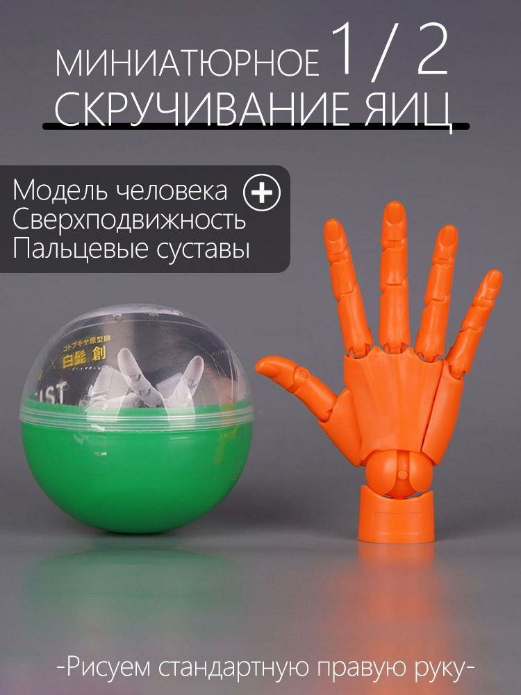 Миниатюрная модель ладони размером 1/2 гача, сверхмощный сустав пальца, ручная модель, рисование и зарисовки, стандартная правая рука