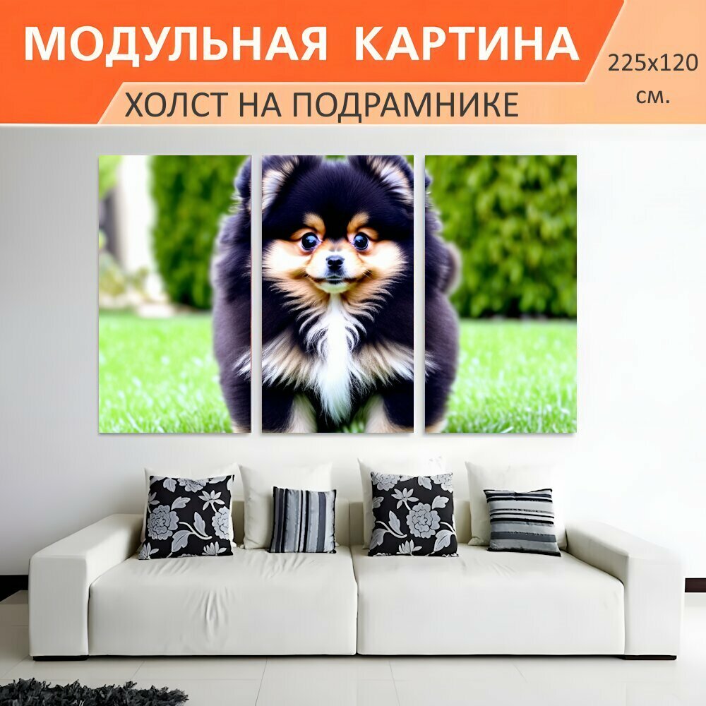 Модульная картина на холсте "Щенок померанского шпица, черный с белым и коричневым, пушистый, с большими глазами и торчащими ушами." триптих на подрамнике 225х120 см. для интерьера