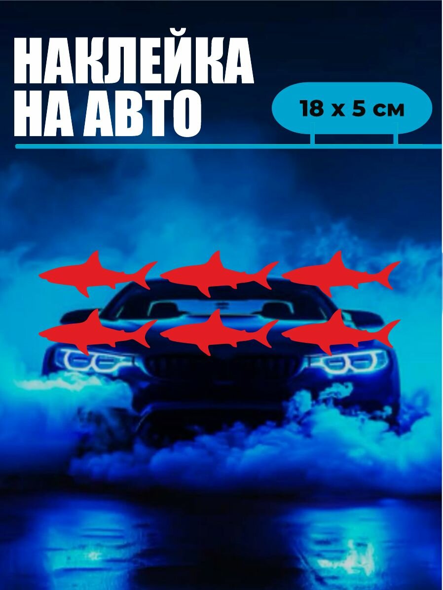 Наклейки на авто Акула на номера