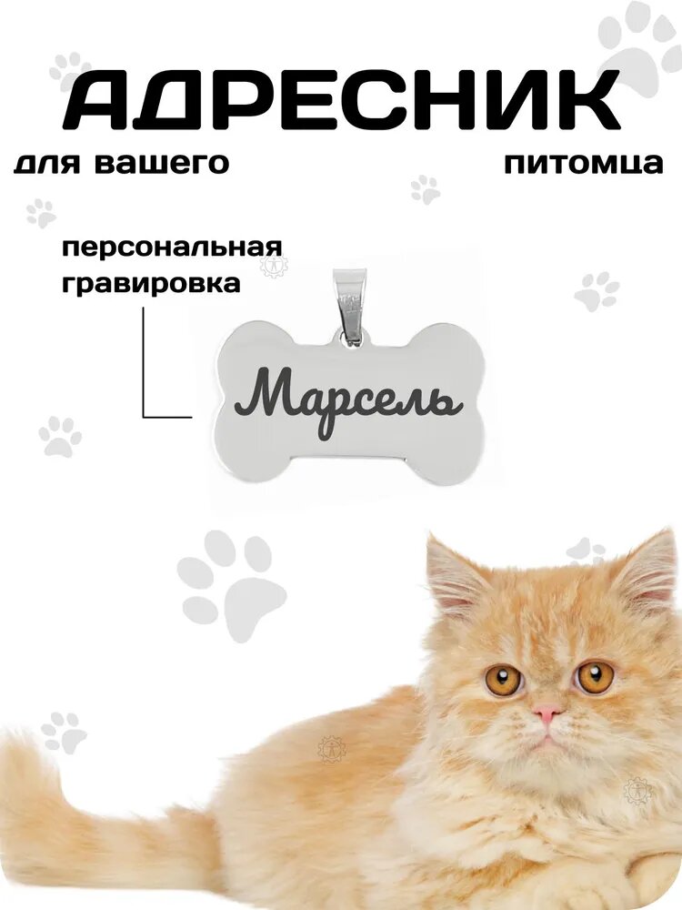 Адресник с гравировкой для мини собак / жетон для кошек, "косточка", на ошейник, серебро, 30 мм x 20 мм